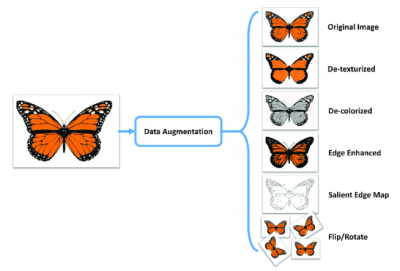 10 Tips To Train Deep Learning Model Using Yolo - Bespoke AI Solutions ...